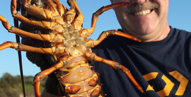 Trapping Lobsters - Fishing World